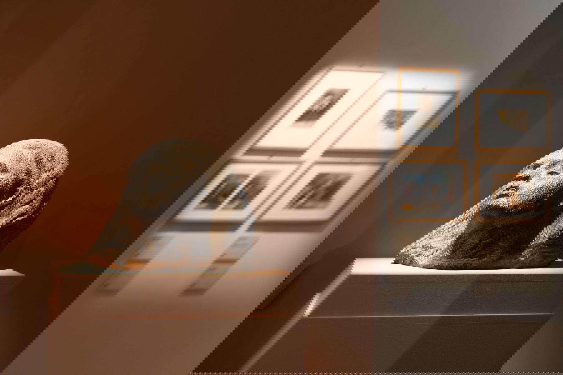 Roman School Museum reopens: new layout and focus on the city